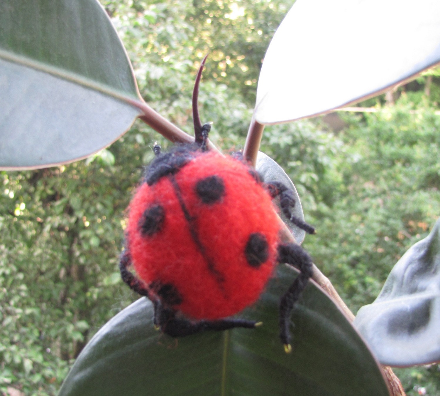 Wool Ladybug Beetle Made of Wool Gift for a Girl Good Luck - Etsy