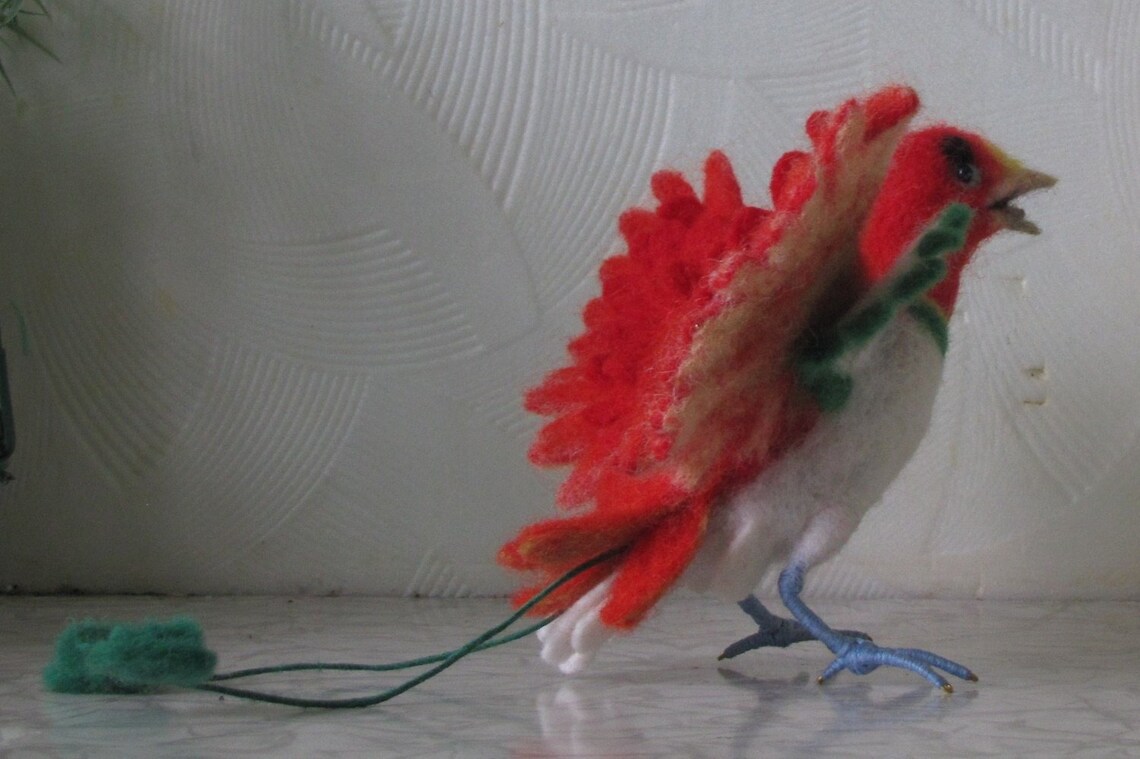 Bird of Paradise Red Bird Bird of Bird | Etsy