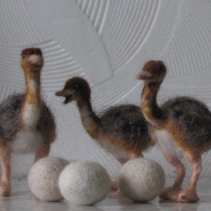 Ostrich Family. Felted Ostriches Made of Wool - Etsy