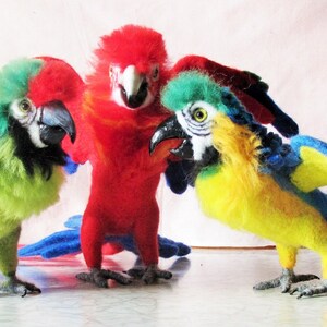 Felt Parrot Macaw Bird Made of Wool for Interior - Etsy