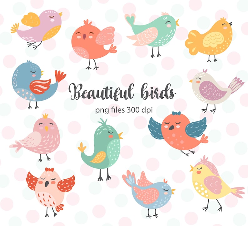 Cute Birds Clipart, Bird Clipart, Digital Graphics, Transparent PNG ...
