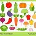 Set of Cute Clipart Vegetables. Vegetables PNG .instant Download ...