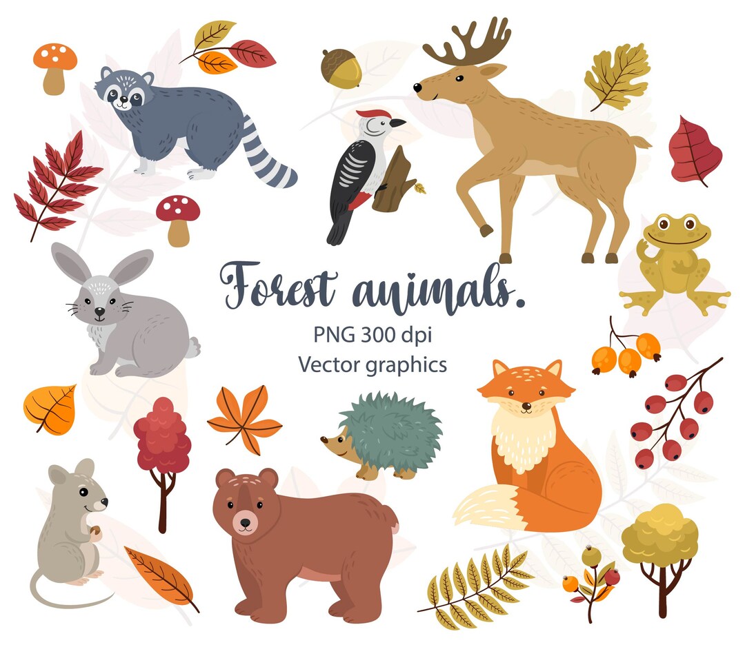 Cute Forest Animals PNG. Forest Animals. Commercial Use. Instant ...