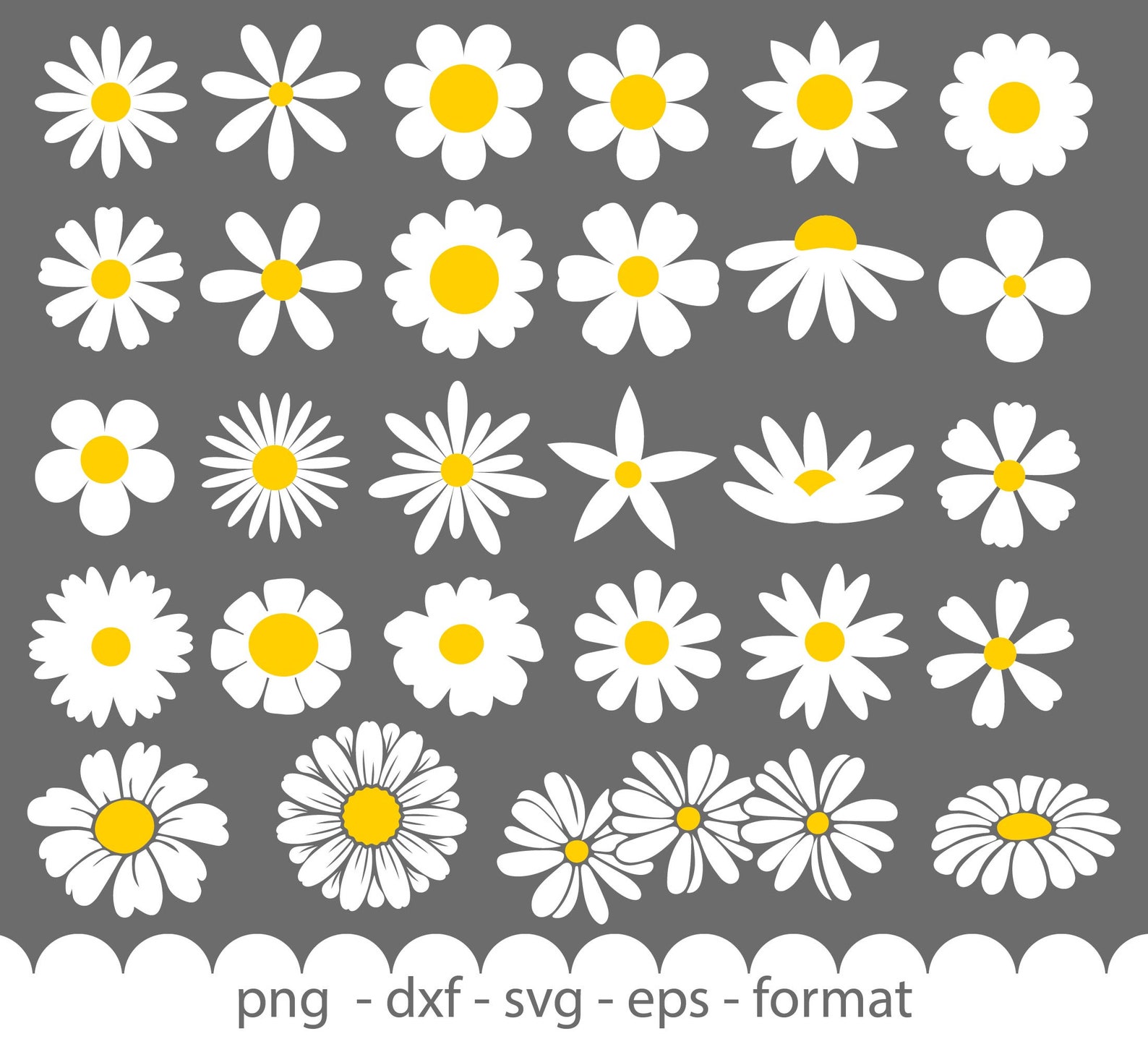 Daisies Clipart Png, Dxf, Svg, Eps. Pictures of Daisies for Cutting ...