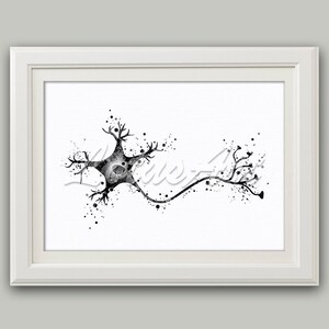 Neuron Art Brain Cell Anatomy Poster Watercolor Print - Etsy