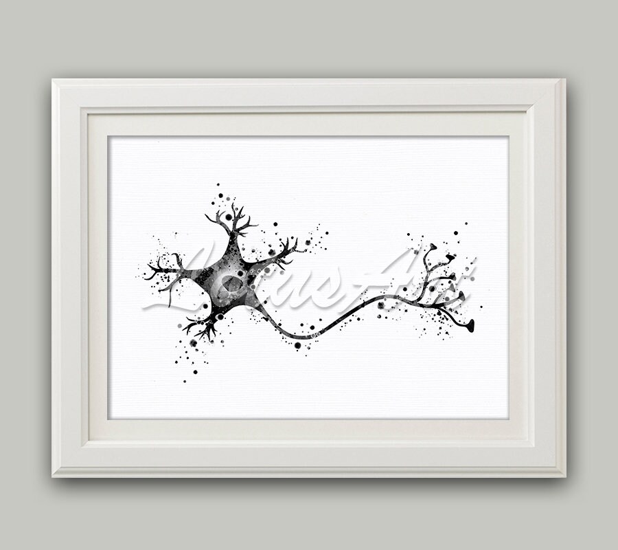 Neuron Art Brain Cell Anatomy Poster Watercolor Print - Etsy