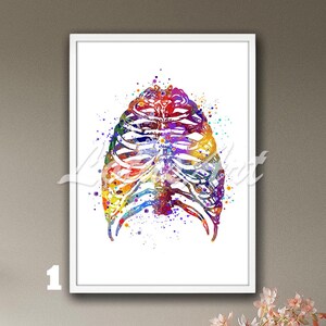 Set of 3 Anatomy Prints Human Bones Spine Rib Cage Pelvis Medical Wall ...