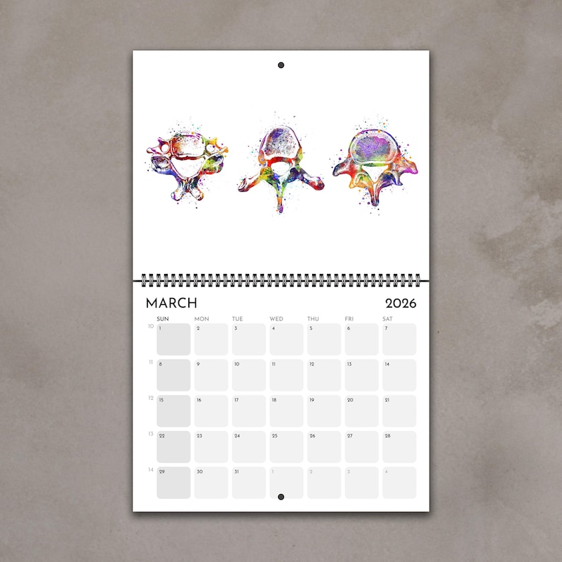 2026 Anatomy Wall Calendar: Medical Watercolor Art, Doctor Gift - Etsy