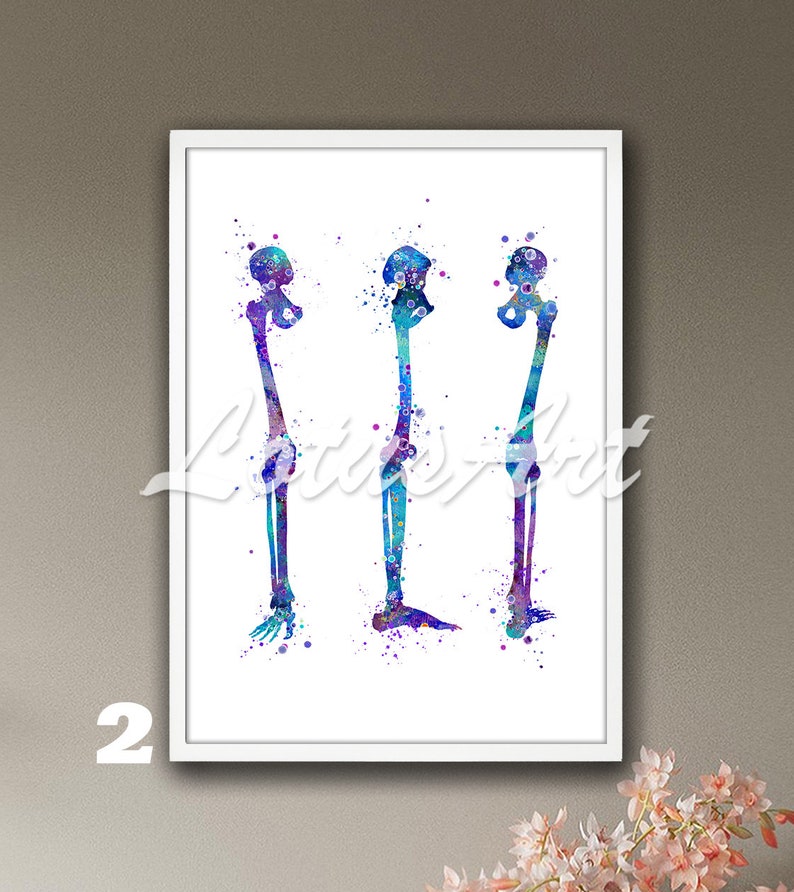 Leg Bones Anatomy Watercolor Art Print: Medical Decor - Etsy Canada