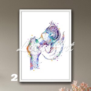 Hip Joint Wall Decor Medical Anatomy Watercolor Print Science Art ...