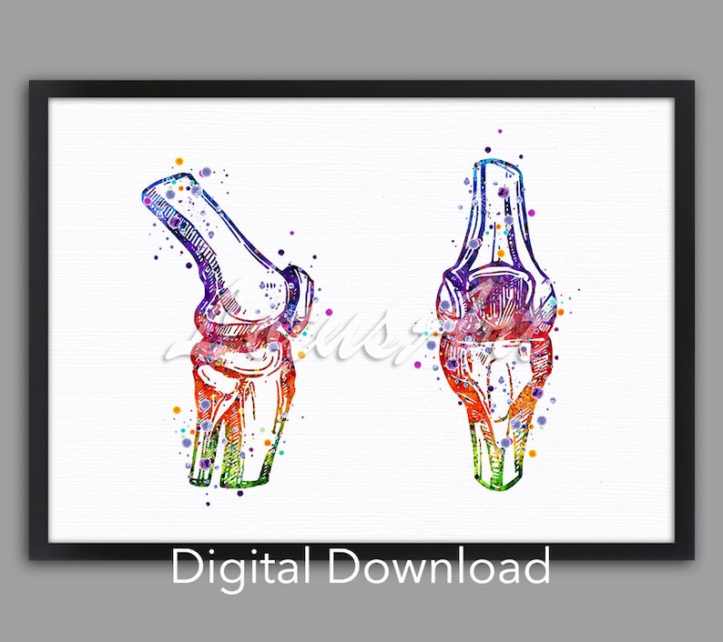 DIGITAL DOWNLOAD Knee Joint Anatomy Medical Prints Wall Art - Etsy