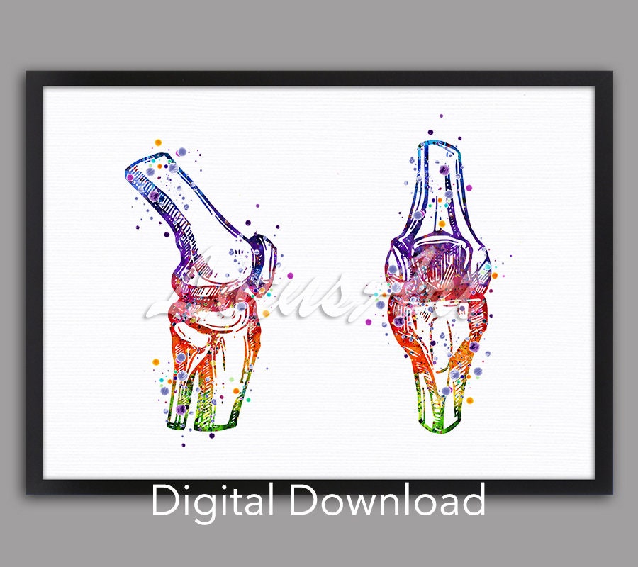 DIGITAL DOWNLOAD Knee Joint Anatomy Medical Prints Wall Art ...