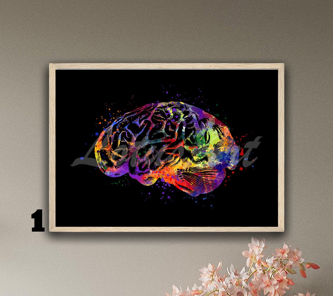 Brain Anatomy Wall Art Framed Black Background Print Science Anatomical ...