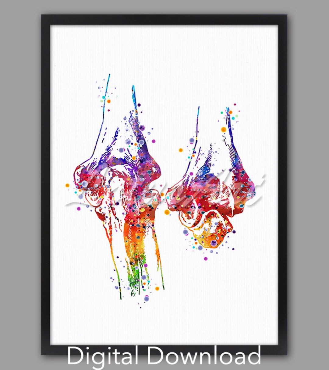 DIGITAL DOWNLOAD Elbow Joint Anatomy Arm Bones Medical Art Prints ...