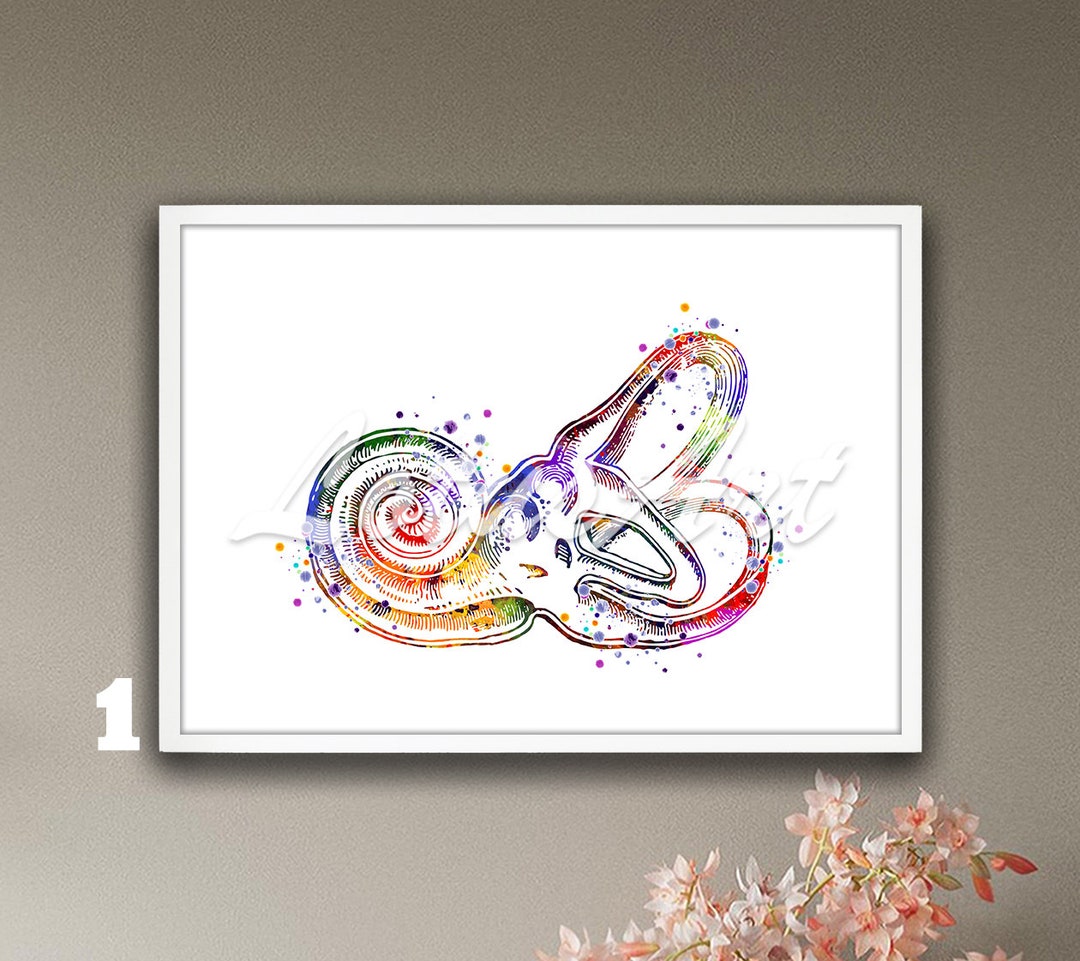 Bony Labyrinth Cochlea Art Anatomy Watercolor Audiologist Gift Inner ...