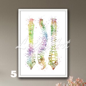 Spine Art Watercolor Print Anatomy Poster Medical Anatomical Decor ...