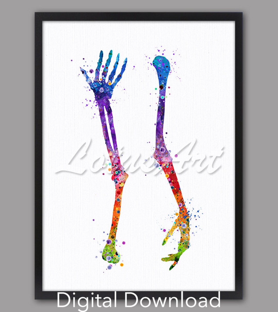 DIGITAL DOWNLOAD Arm Bones Watercolor Anatomy Art Humerus Radius ...