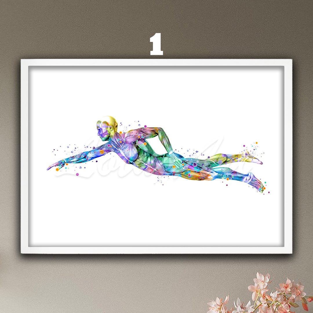 Swimmer Muscles Anatomy Art Watercolor Print Chiropractor Anatomical ...