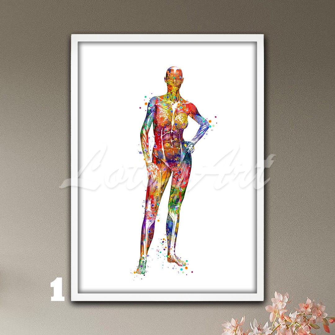 Woman Figure Muscles Anatomy Wall Art Watercolor Print Clinic Decor ...