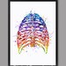 DIGITAL DOWNLOAD Rib Cage Art Watercolor Print Anatomy Painting Medical ...