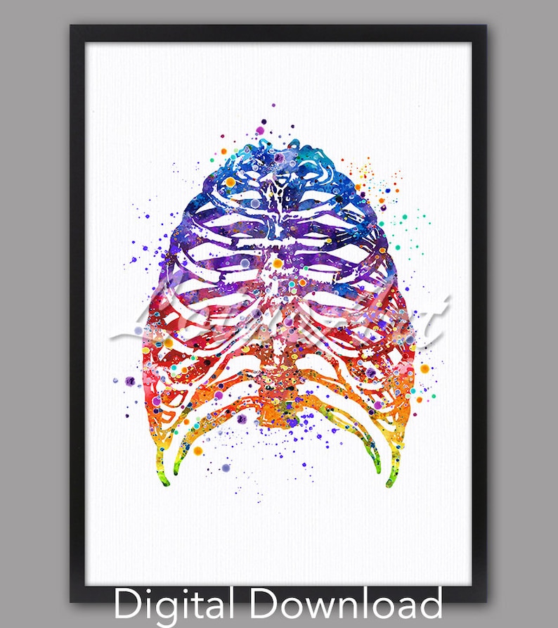 DIGITAL DOWNLOAD Rib Cage Art Watercolor Print Anatomy - Etsy