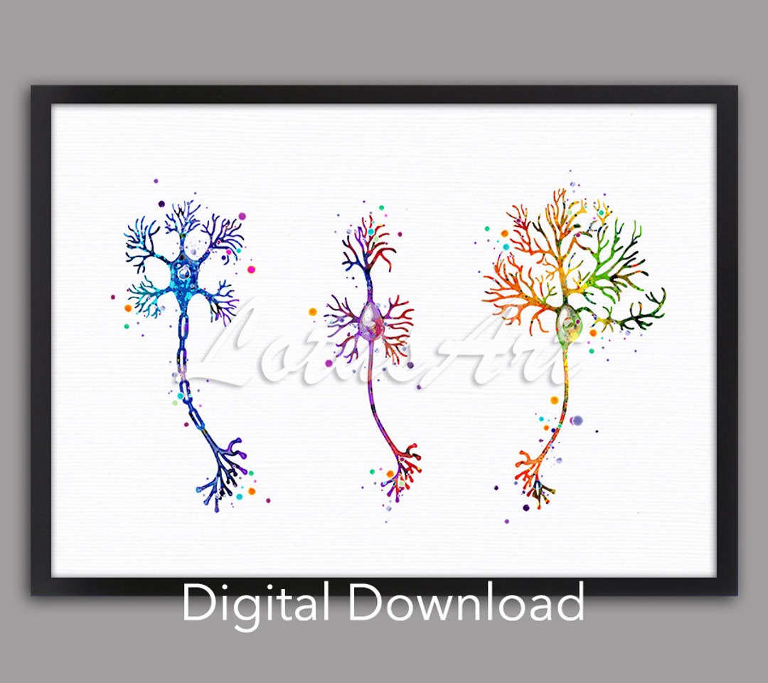 Watercolor Neuron Anatomy Art Print: Medical Neurology Decor (digital ...