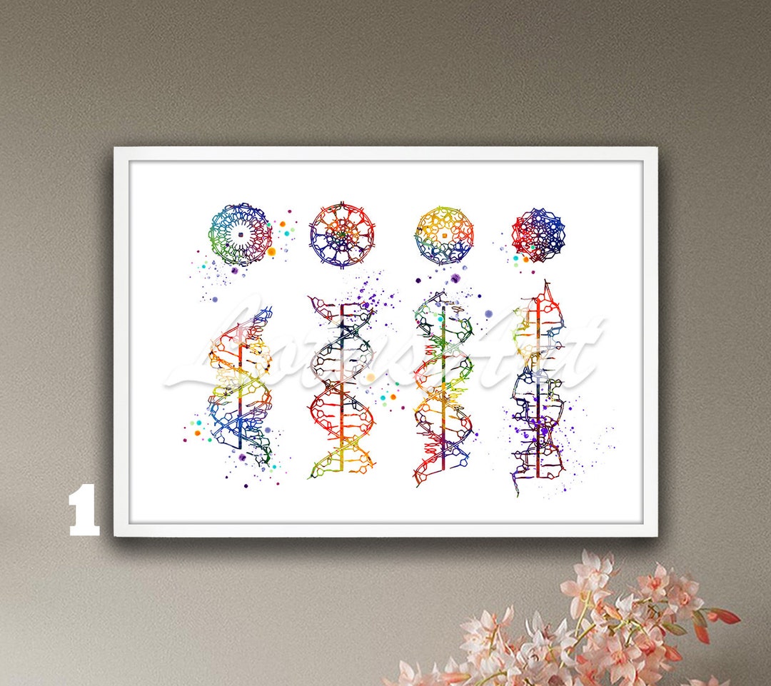 DNA Helix A-B-C-Z Medical Wall Art Framed Prints Genetic Doctor Gifts ...