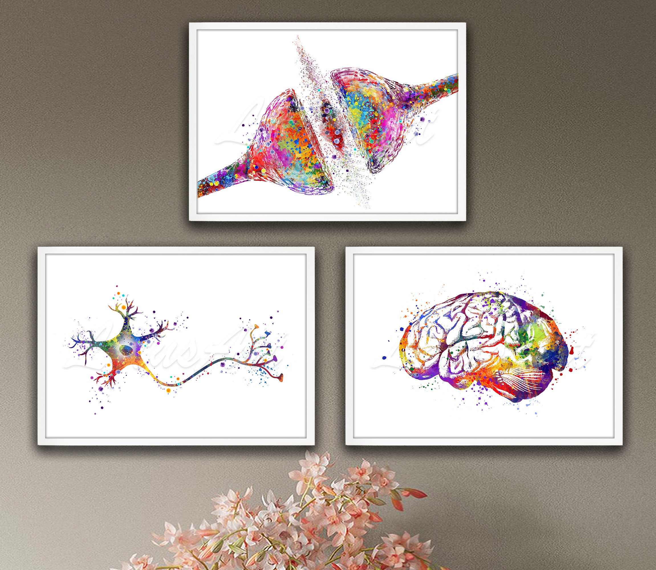 Neuron Synapse Watercolor Print Set: Brain Anatomy Art, Neurology Gift ...