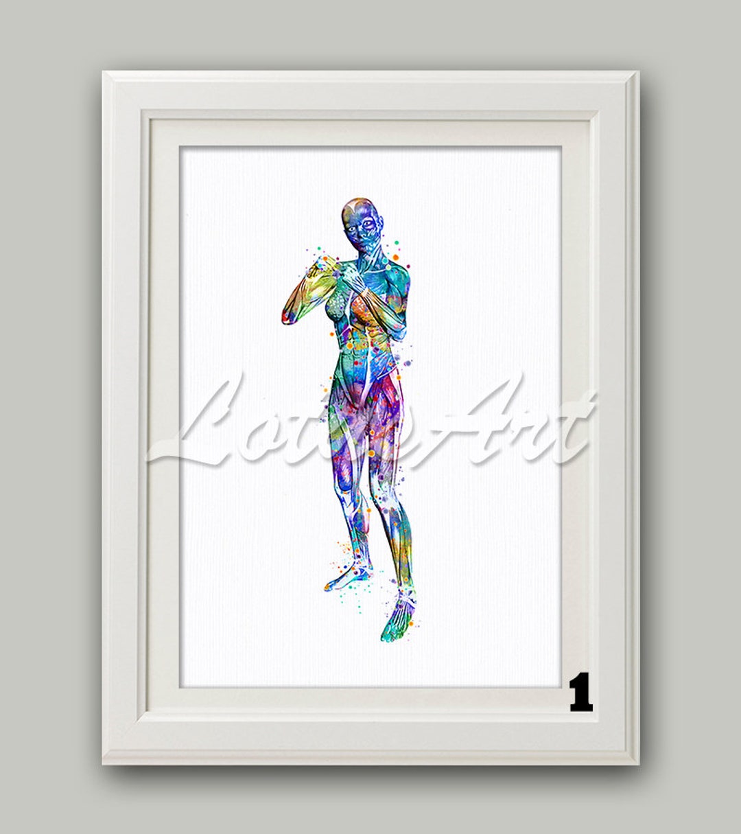 Boxing Muscles Wall Art Watercolor Print Clinic Decor Doctor - Etsy