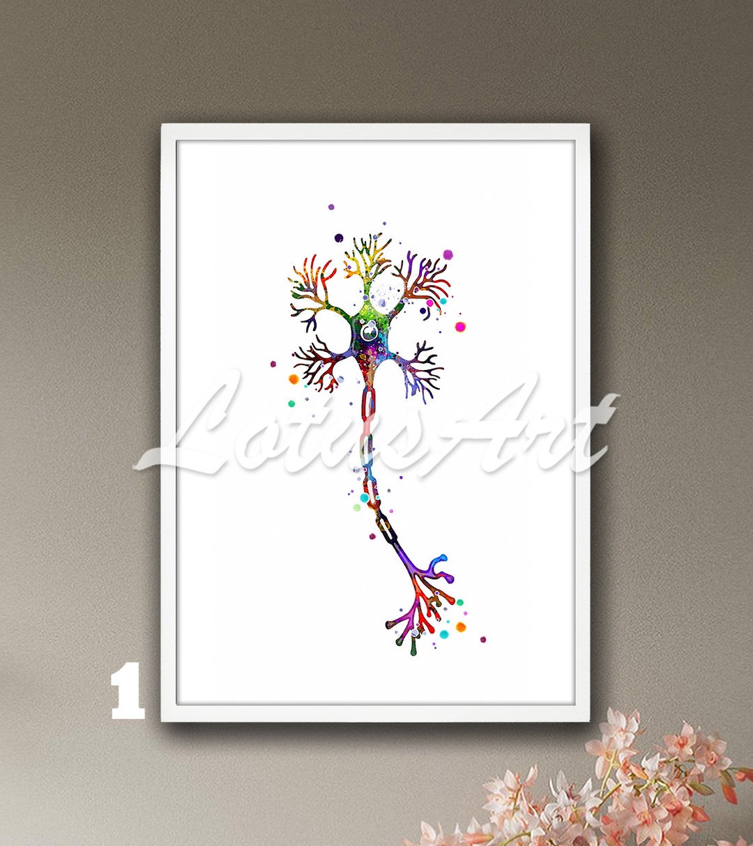 Motor Neuron Medical Framed Wall Art Print Anatomy Multipolar Neurons ...
