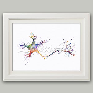Neuron Art Brain Cell Anatomy Poster Watercolor Print - Etsy