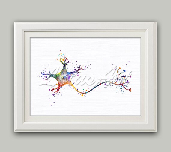Neuron Art Brain Cell Anatomy Poster Watercolor Print | Etsy Australia