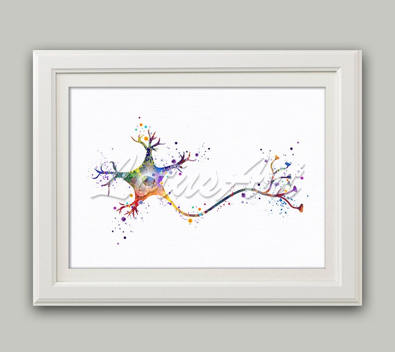 Neuron Art Brain Cell Anatomy Poster Watercolor Print - Etsy