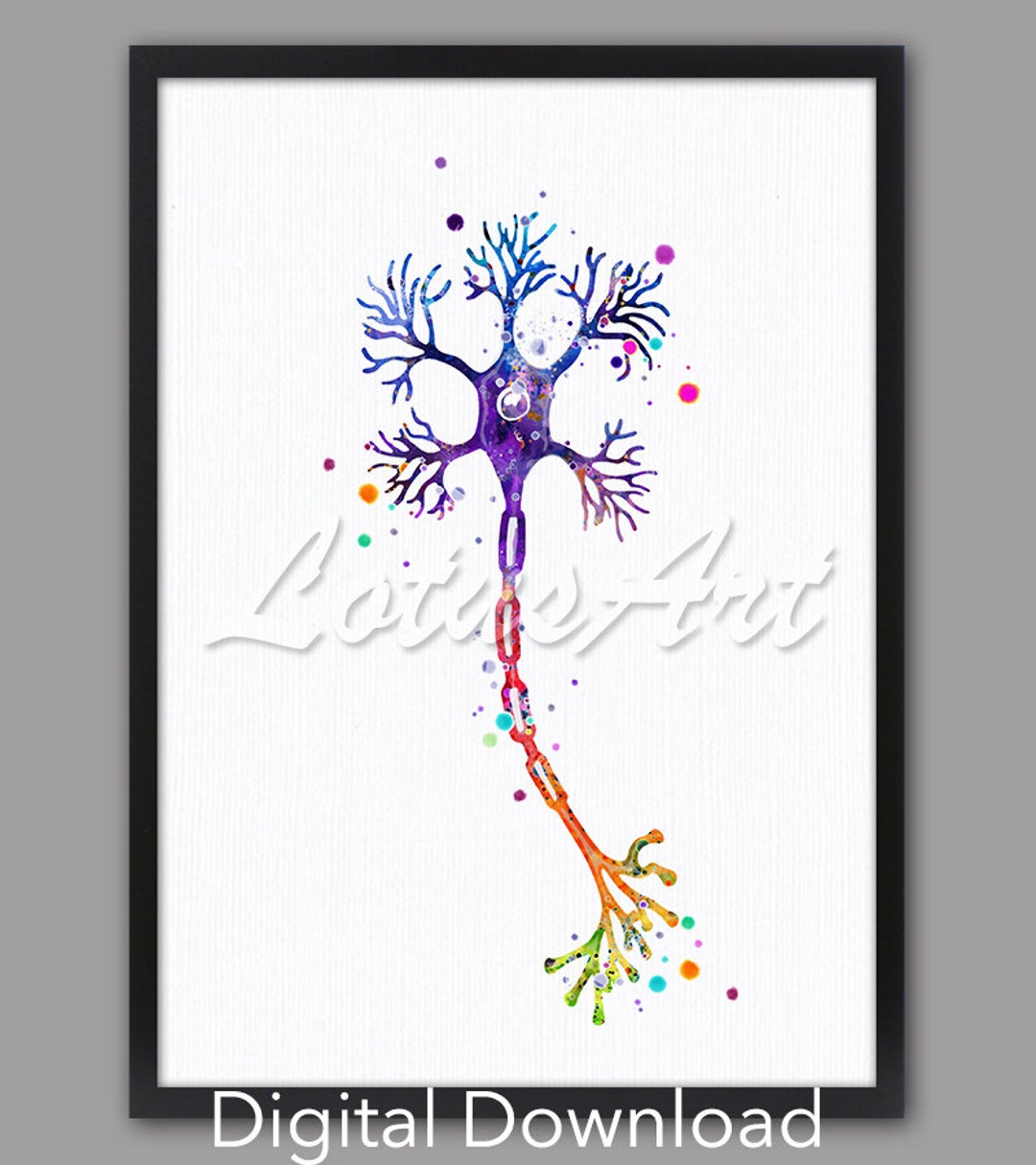 DIGITAL DOWNLOAD Motor Neuron Multipolar Neurons Cell Anatomy Art Brain ...
