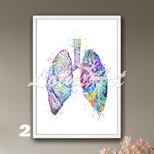 Lungs Anatomy Wall Art Framed Watercolor Print Anatomical Lungs Surgery ...