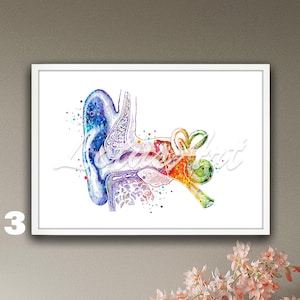 Ear Anatomy Watercolor Print: Audiologist ENT Gift, Medical Art - Etsy