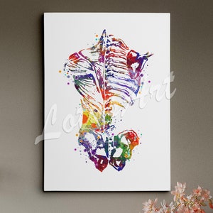 Human Back Bones Muscles Anatomy Wall Art Watercolor Canvas Print ...