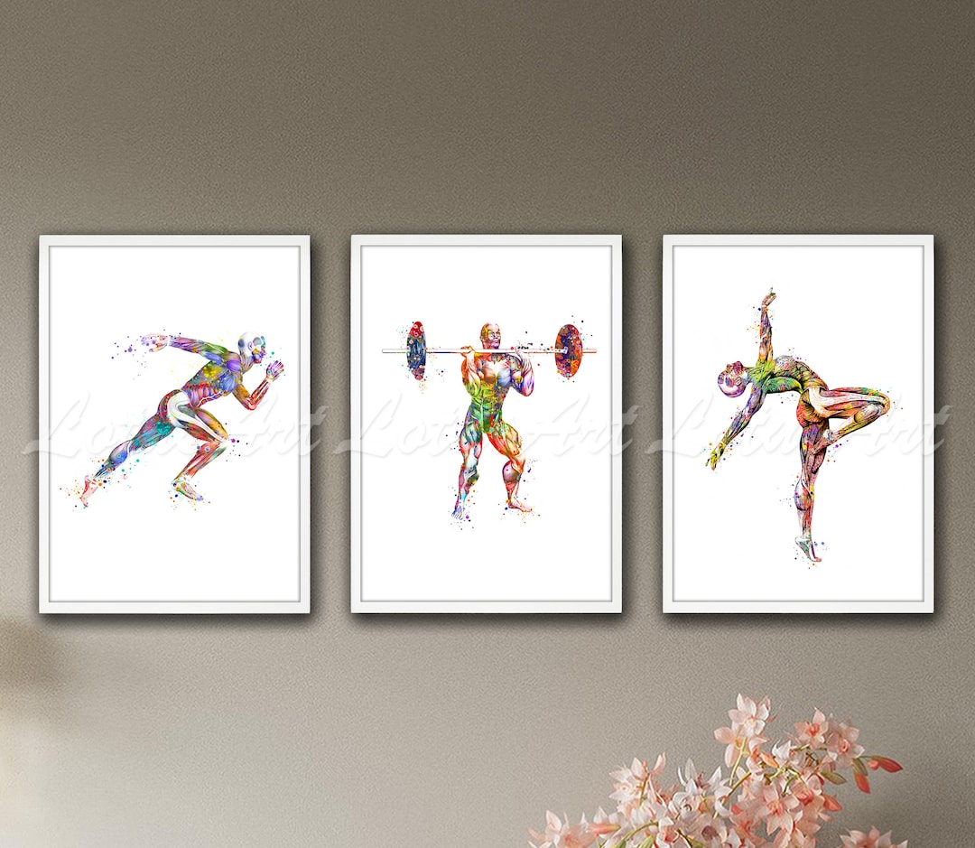 Set of 3 Muscles Anatomy Wall Art Sports Prints Runner Weightlifter ...