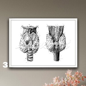 Thyroid Gland Watercolor Anatomy Art Print: Doctor Office Decor - Etsy