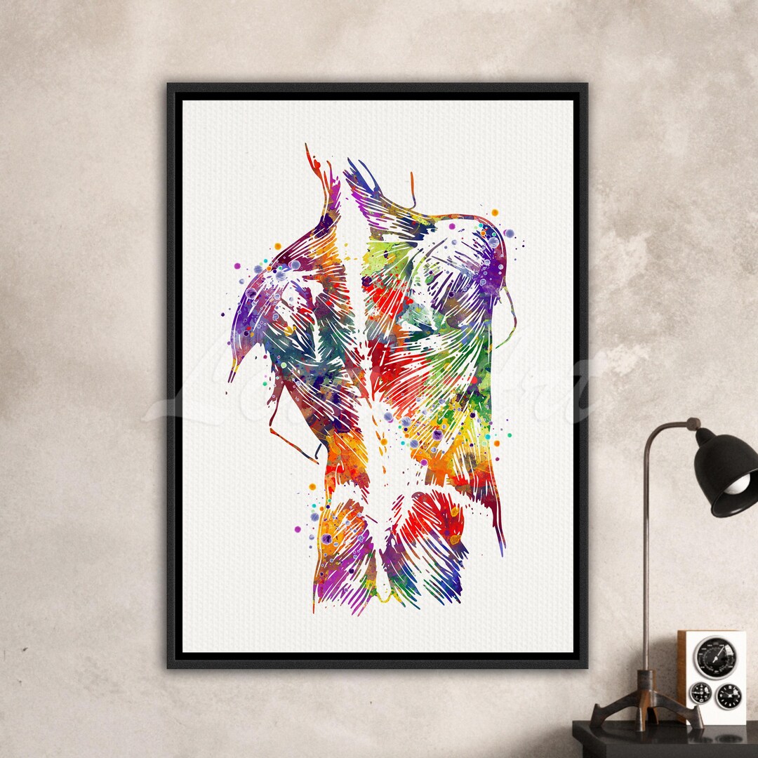 Human Back Muscles Anatomy Art Watercolor Canvas Print Medical Clinic ...