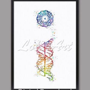 A-DNA Helix Watercolor Print: Biology Science Art (digital Download) - Etsy