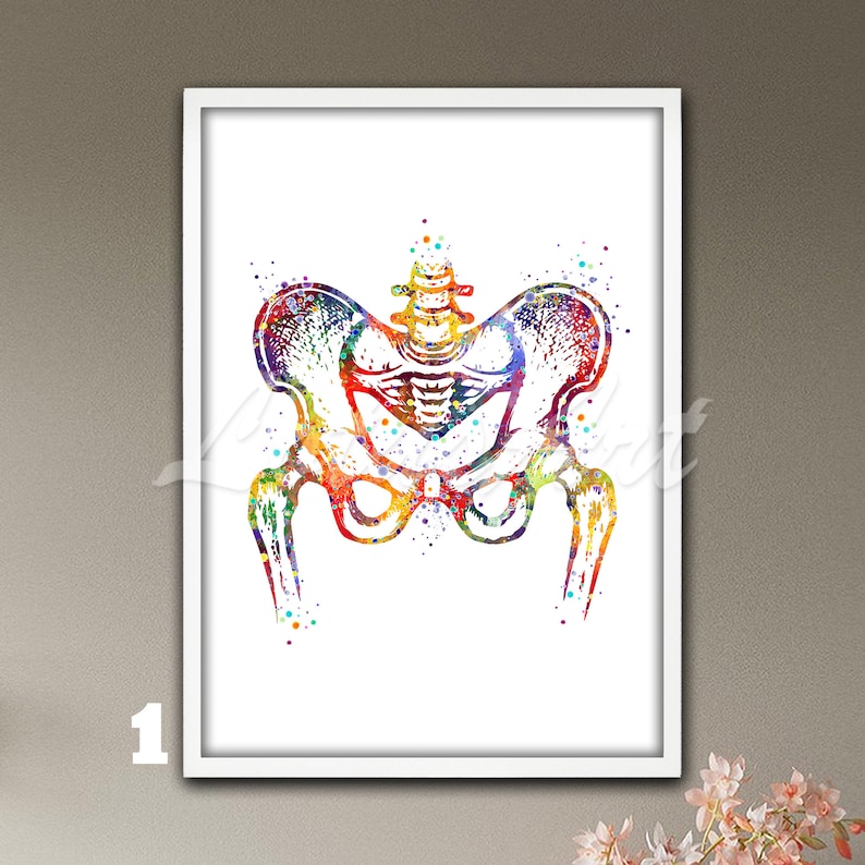 Pelvis Wall Art Watercolor Anatomy Medical Decor Anatomical ...