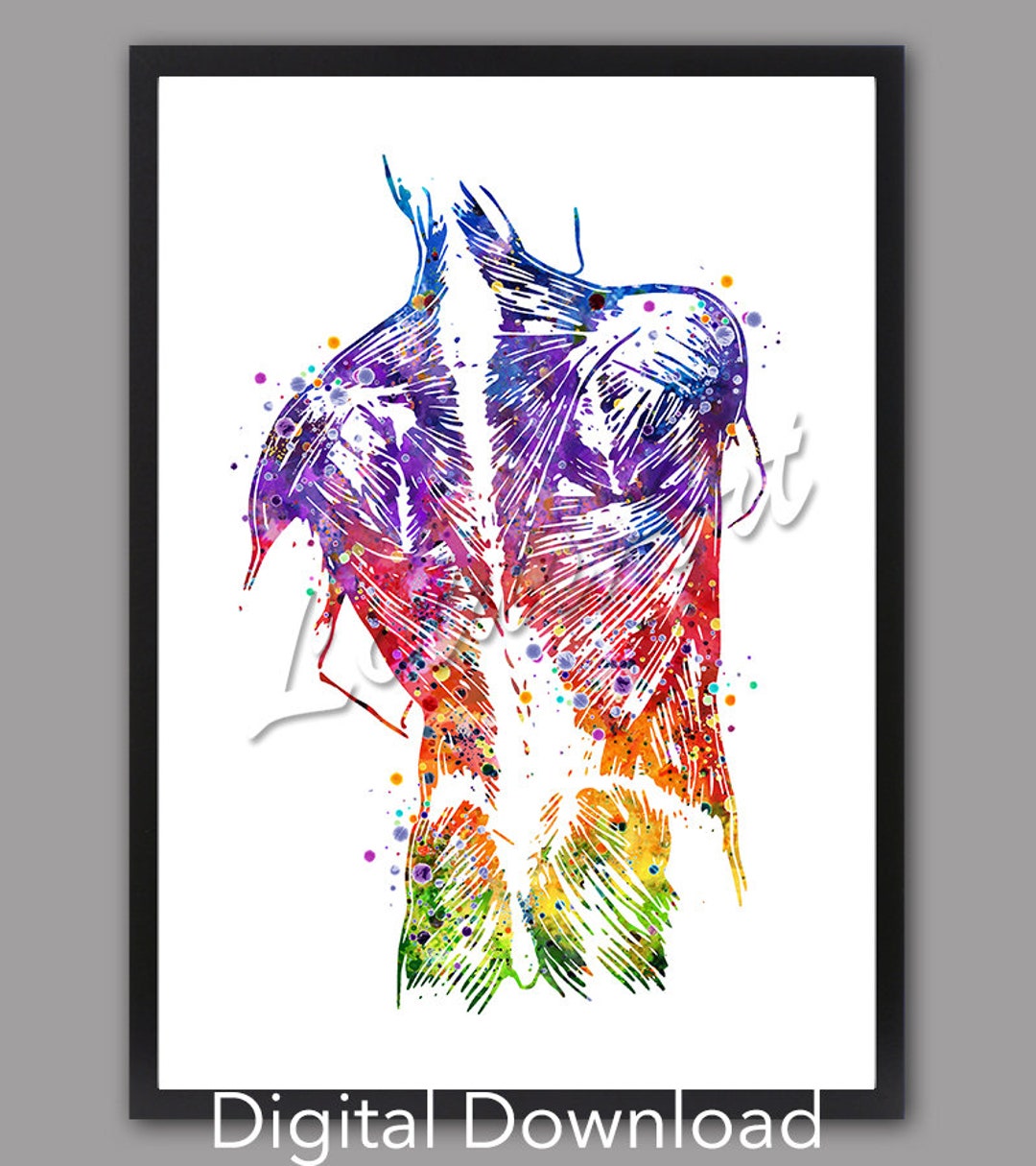 Watercolor Back Muscles Anatomy Art Print: Clinic Decor (digital ...