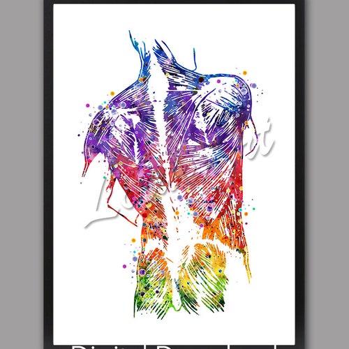 DIGITAL DOWNLOAD Human Back Bones Muscles Art Watercolor Print - Etsy
