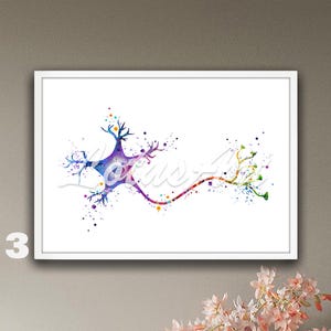 Neuron Art Brain Cell Anatomy Poster Framed Watercolor Print Neurology ...