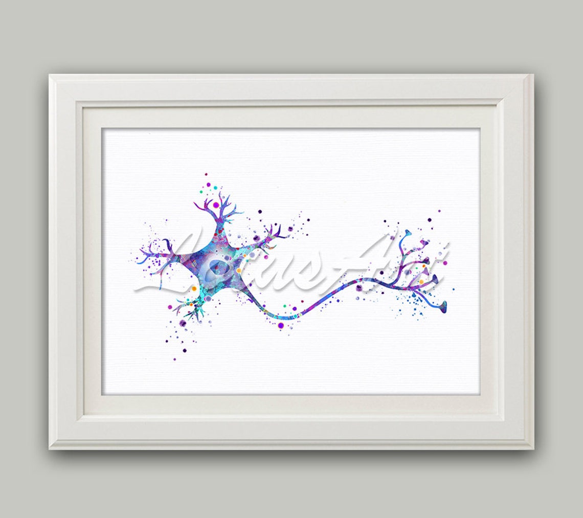 Neuron Art Brain Cell Anatomy Poster Watercolor Print - Etsy