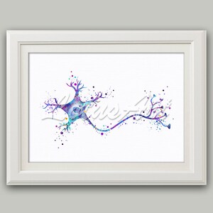 Neuron Art Brain Cell Anatomy Poster Watercolor Print - Etsy