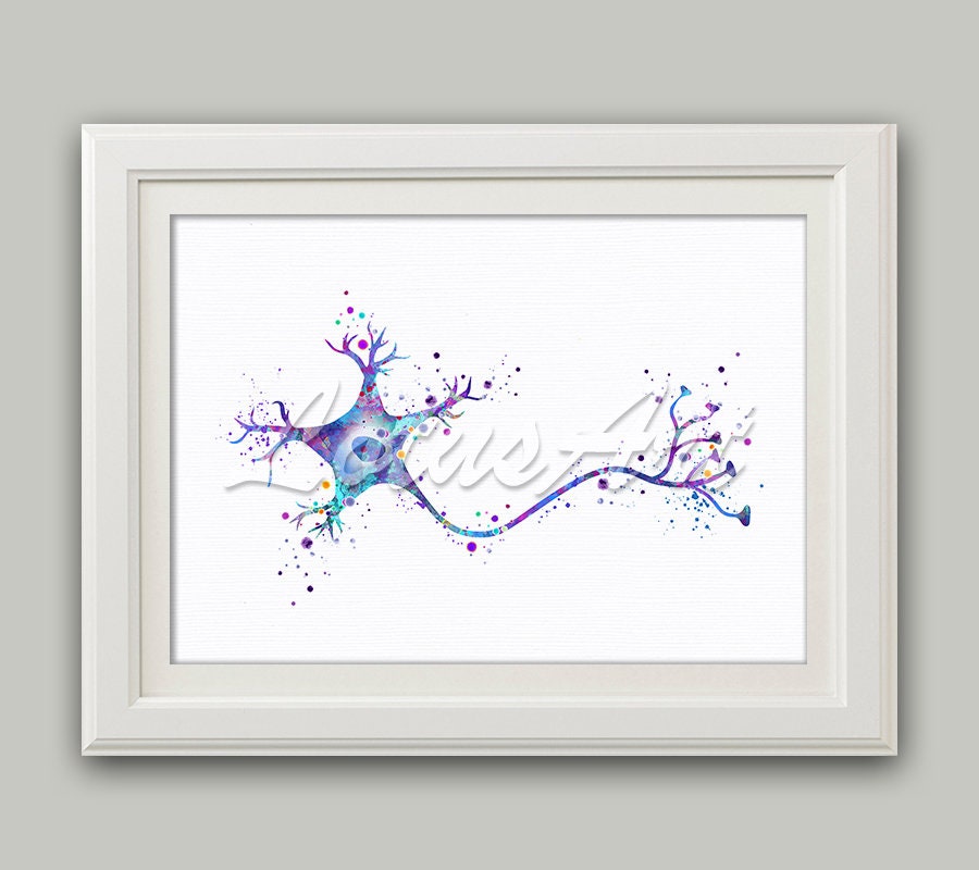 Neuron Art Brain Cell Anatomy Poster Watercolor Print - Etsy