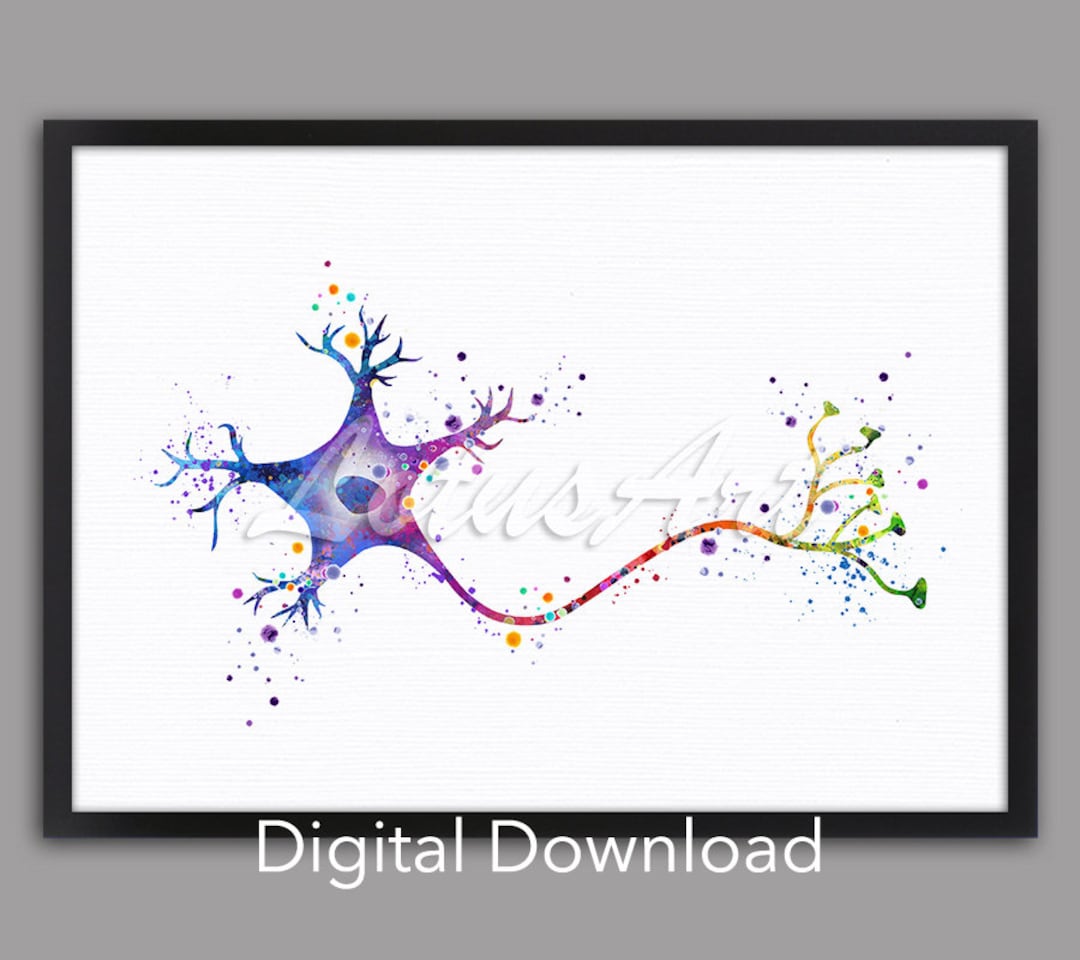 DIGITAL DOWNLOAD Neuron Art Brain Cell Anatomy Poster Watercolor Print ...