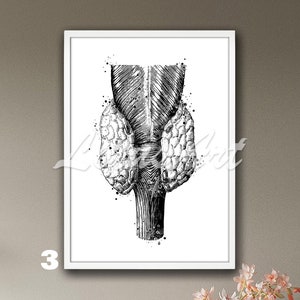 Thyroid Gland Poster Anatomy Art Print Endocrinologist Medical Framed ...